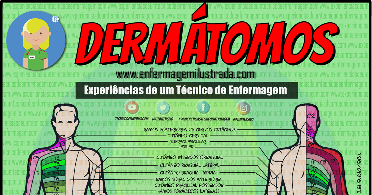 Pe Dermatomo Meta Biomed Special Tapered ISO Color Coded 4% Gutta