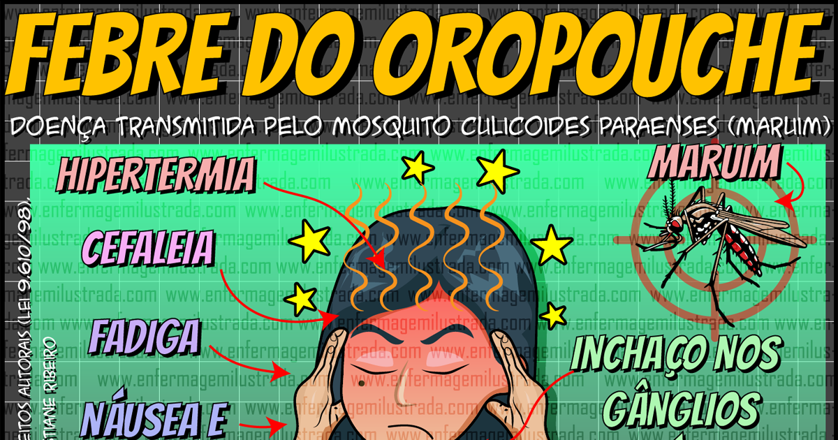 Febre do Oropouche - Enfermagem Ilustrada